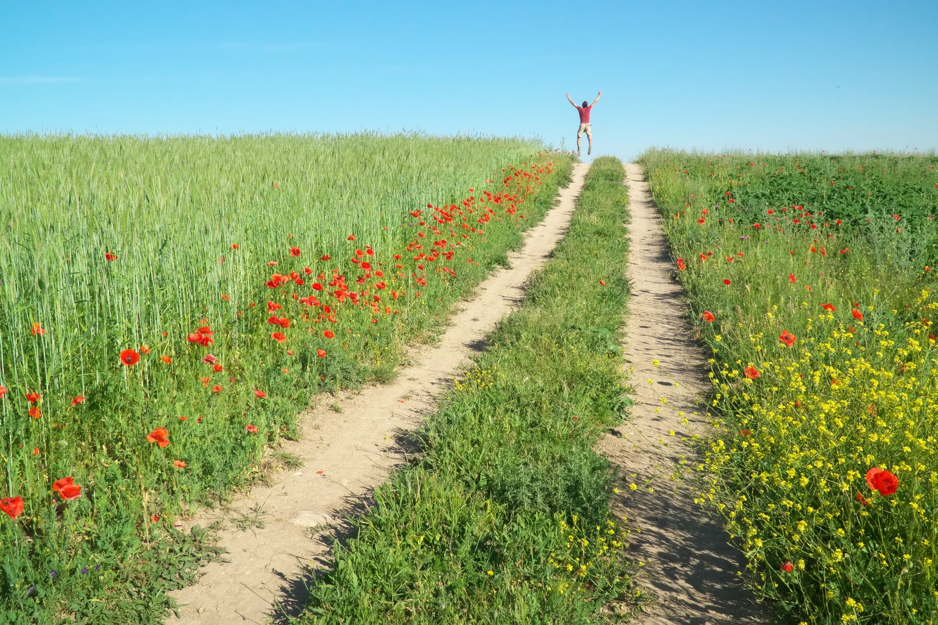 MBM Engine v2: ITSM module is now available for you - MBM Skyline - EDV ...